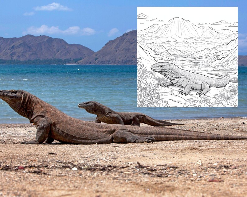 Majestic Komodo Dragon Coloring Pages | Detailed Wildlife Animal ...