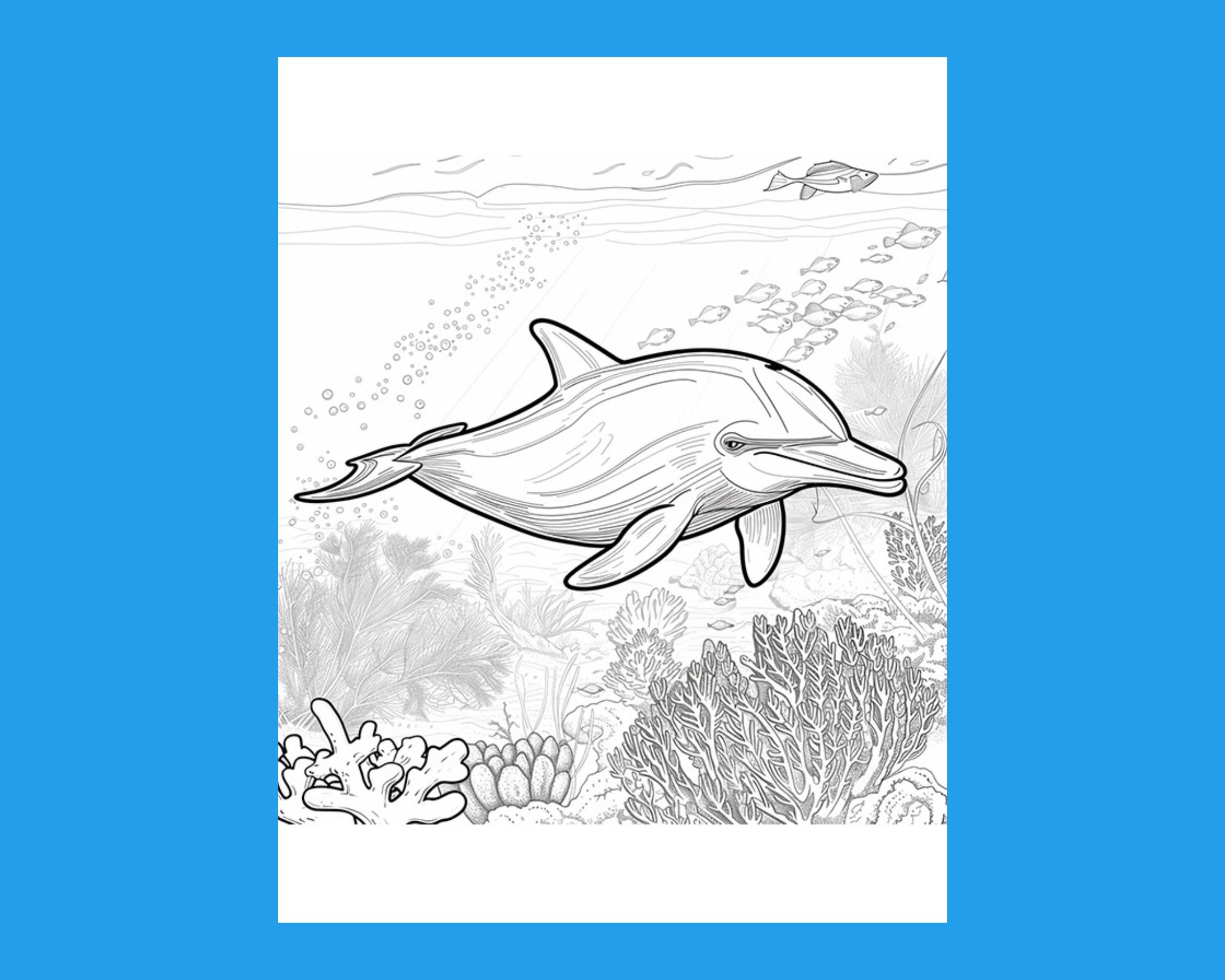 Detailed Dolphin Coloring Pages: Marine Life Art (digital Download) - Etsy