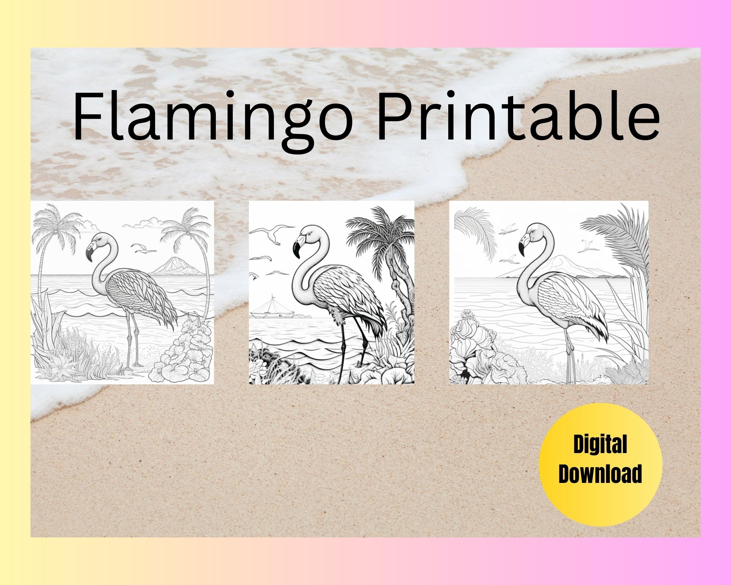 Flamingo Coloring Pages: Set of 3 Printable PDF Illustrations - Etsy
