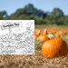 Pumpkin Patch Coloring Pages: Fall & Halloween Fun (digital Download ...