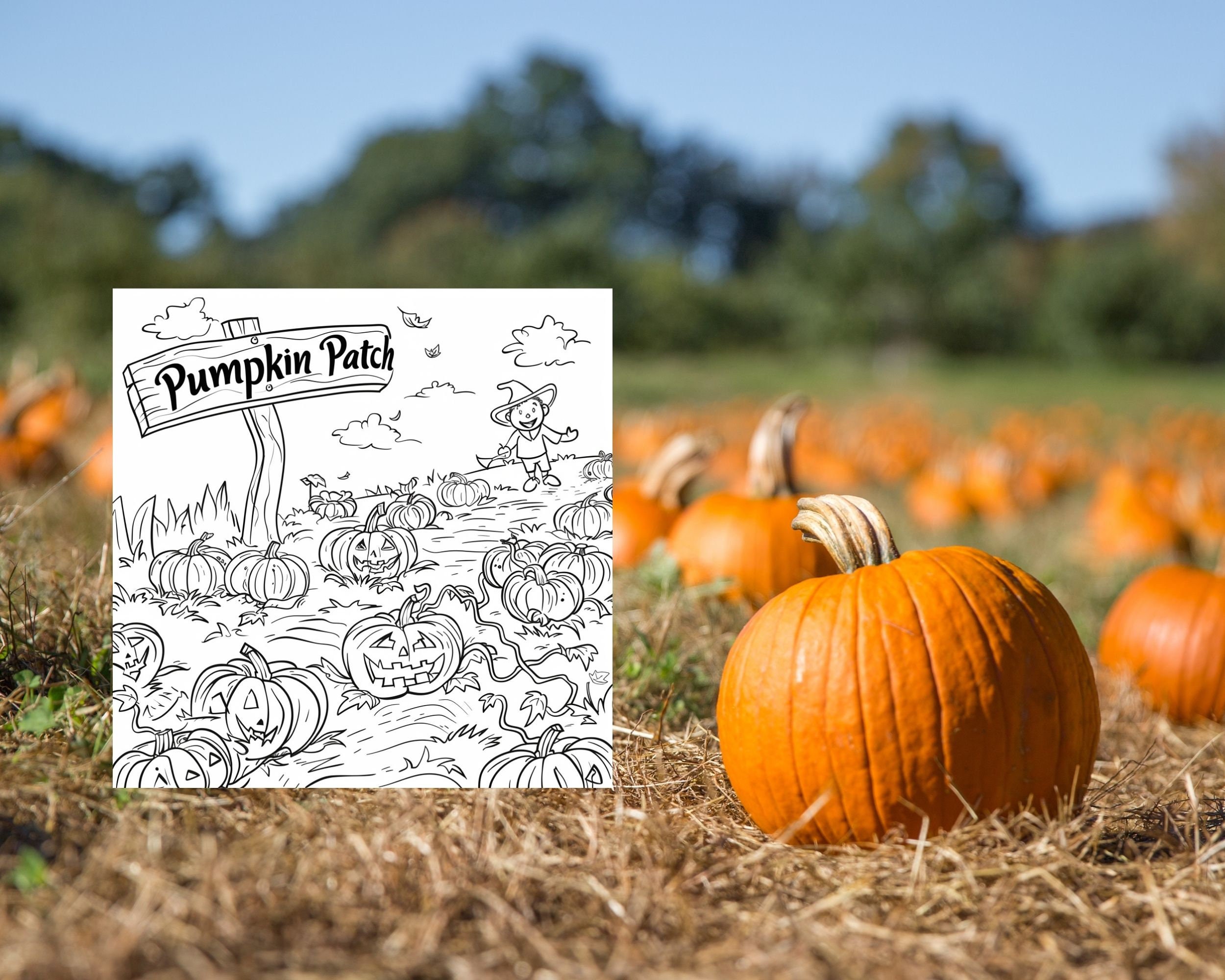 Pumpkin Patch Coloring Pages: Fall & Halloween Fun (digital Download ...