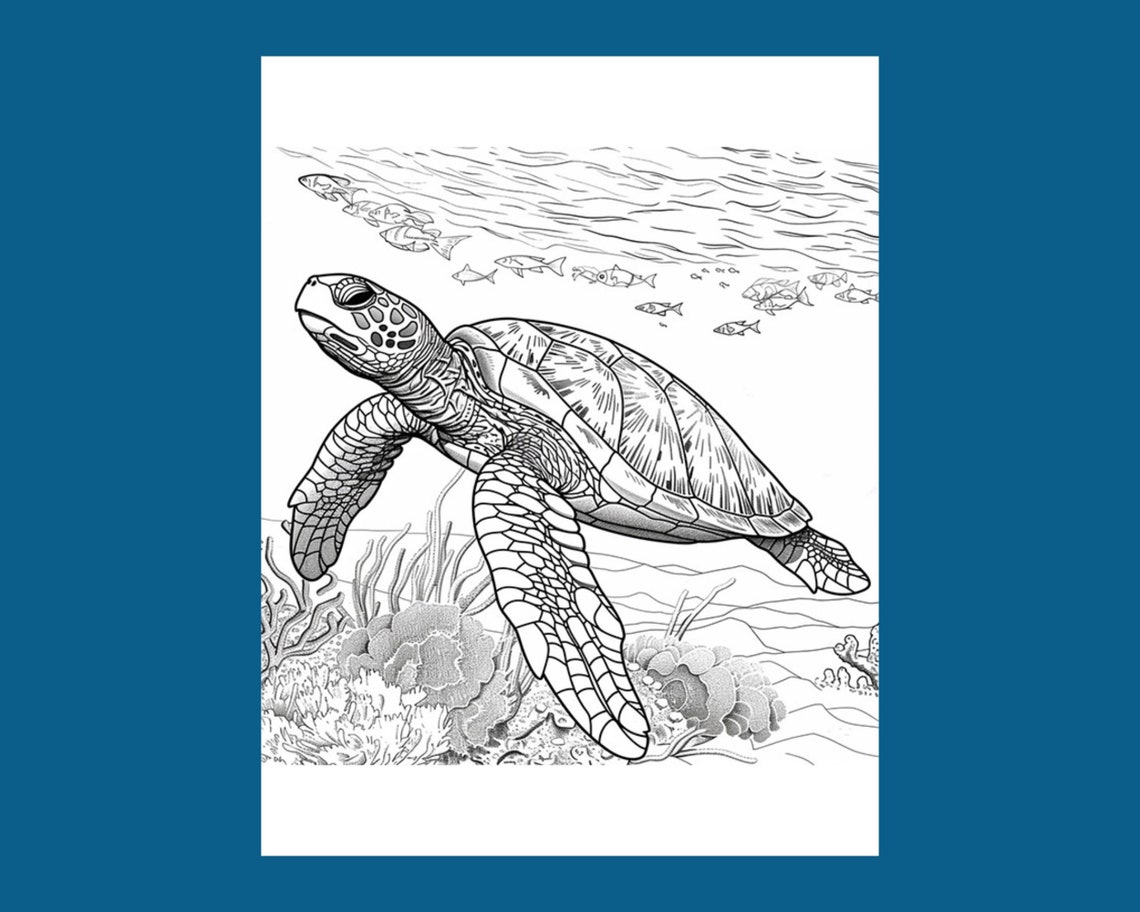 Sea Turtle Coloring Pages - Digital Download, Detailed Marine Life Art ...