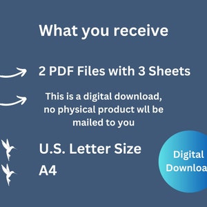 Beautiful Hummingbird Coloring Pages - Instant Download - US Letter ...