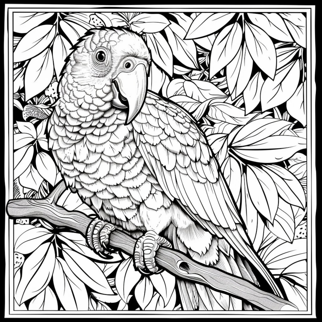 Beautiful Parrot Coloring Pages - Instant Download - US Letter & A4 ...