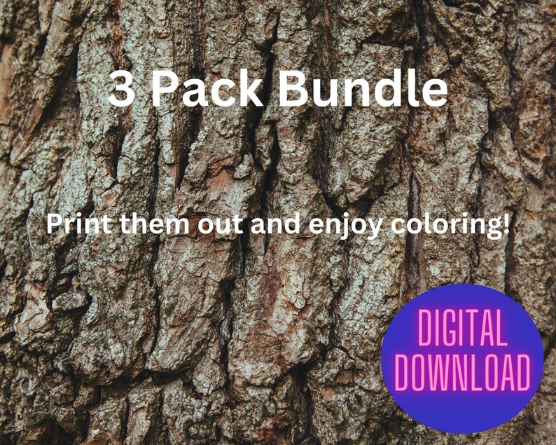 Owl Coloring Pages: Black & White Printable Illustrations (digital ...