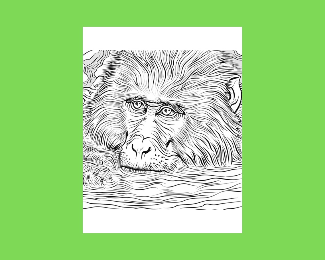 Macaque Coloring Pages Digital Download, Detailed Wildlife Art ...