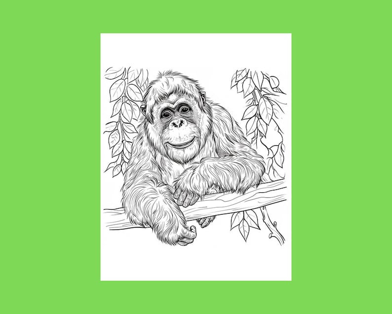 Intricate Orangutan Coloring Pages: Wildlife Art (printable PDF) - Etsy