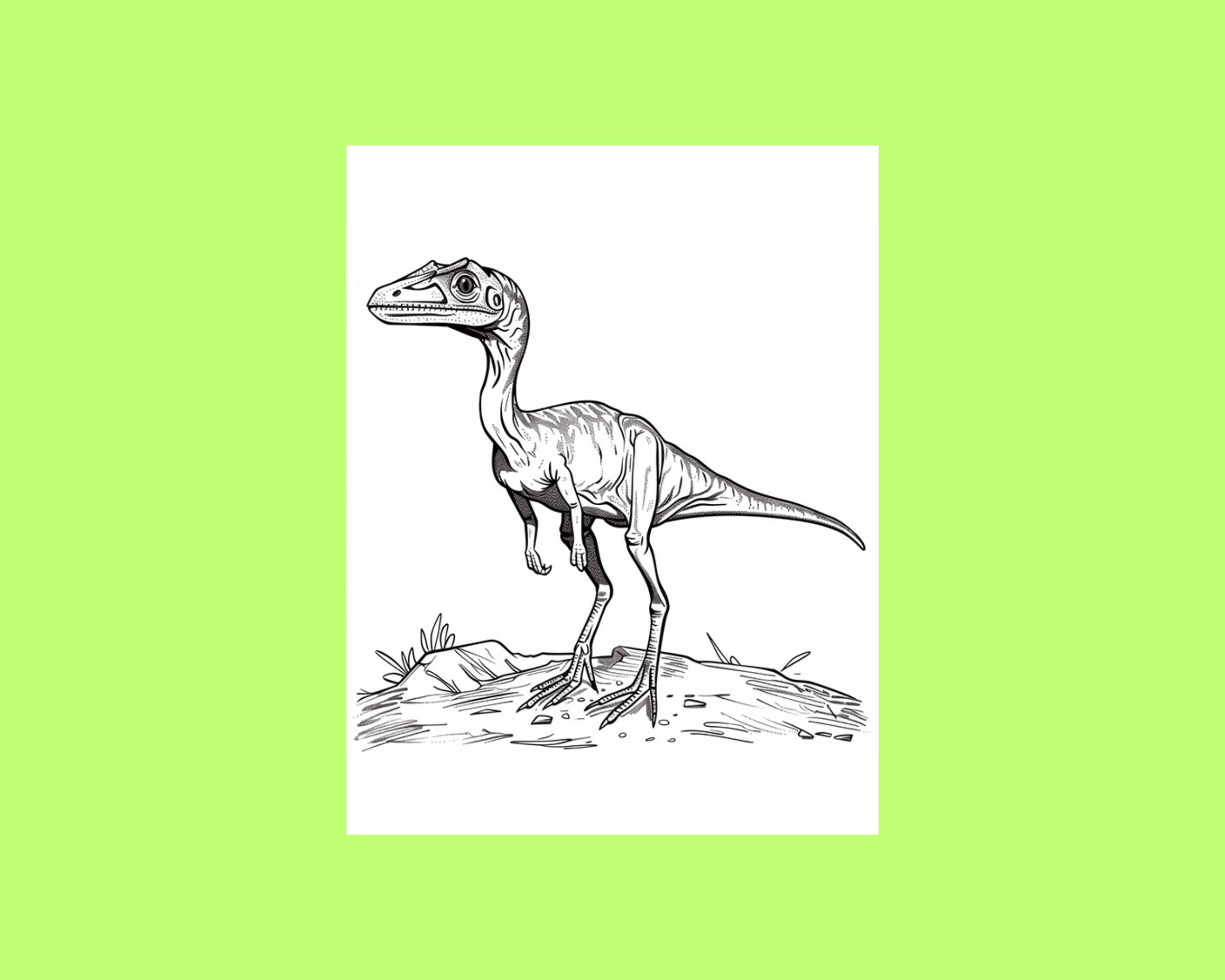 Compsognathus Coloring Pages - Adorable Dinosaur Art, Digital Download ...