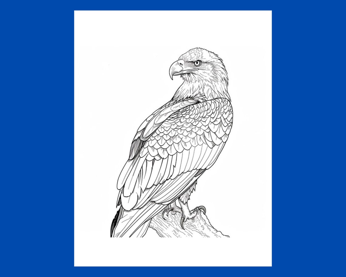 Bald Eagle Coloring Pages: Detailed Bird Illustrations (digital ...