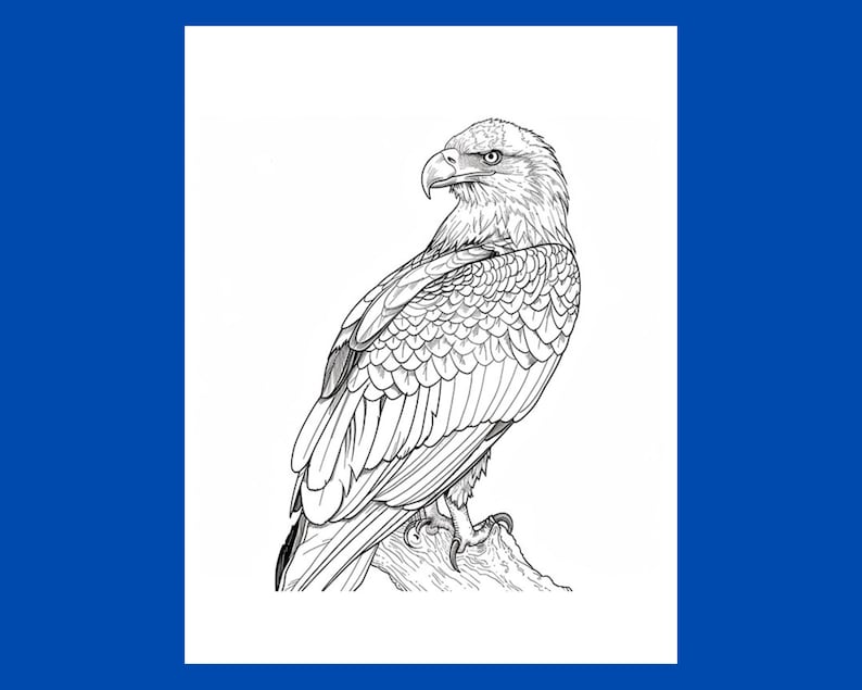 Bald Eagle Coloring Pages: Detailed Bird Illustrations (digital ...
