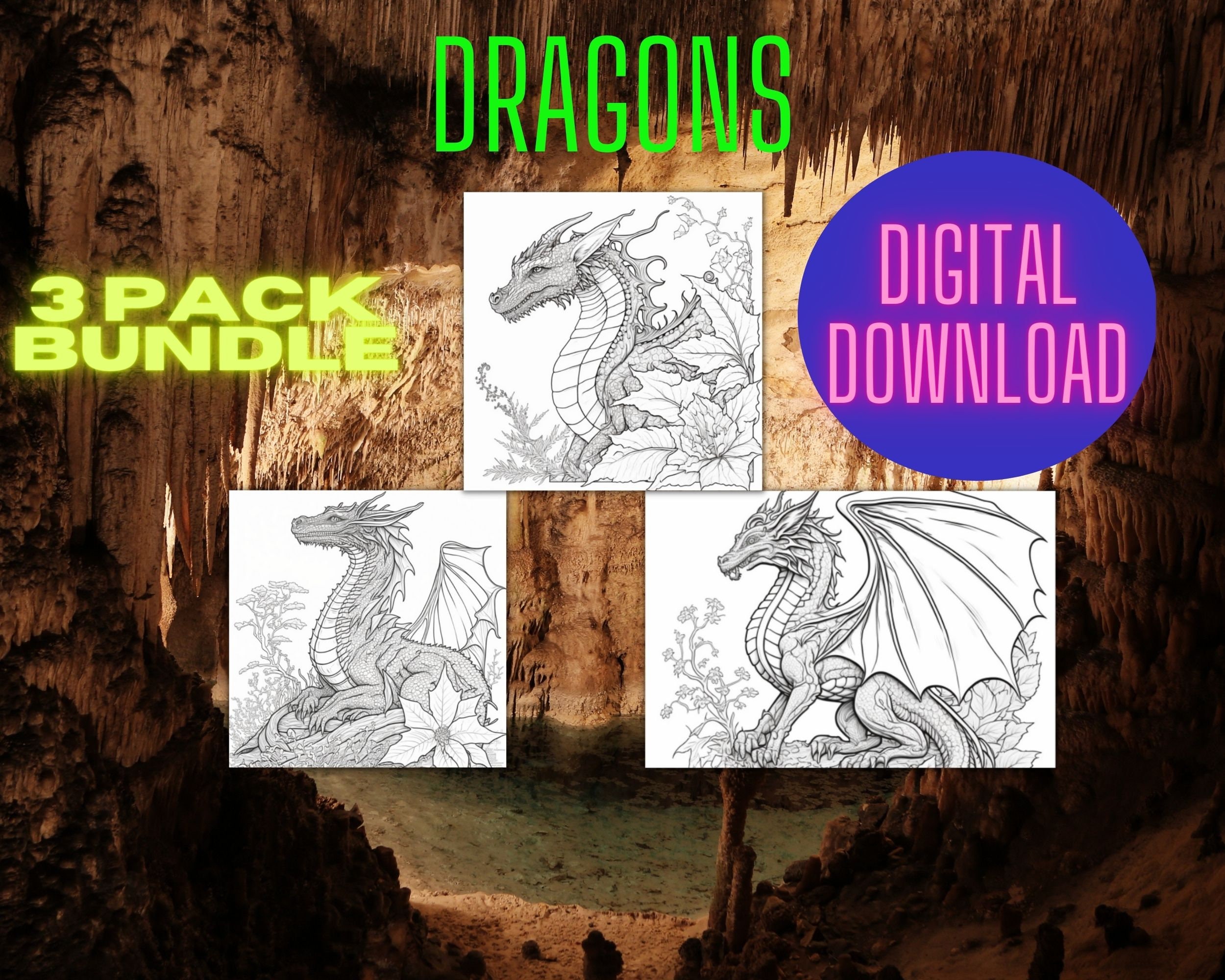 Dragon Coloring Pages: Set of 3 Printable PDF Illustrations (adults ...