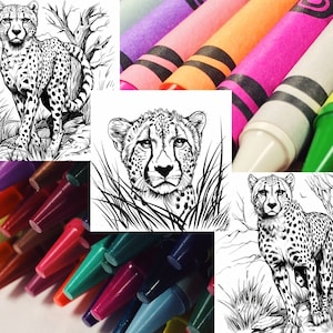 Cheetah Coloring Pages: Elegant Printable Illustrations (digital ...