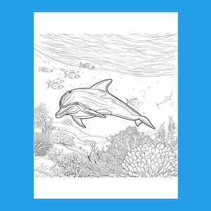 Detailed Dolphin Coloring Pages: Marine Life Art (digital Download) - Etsy