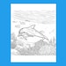 Detailed Dolphin Coloring Pages: Marine Life Art (digital Download) - Etsy
