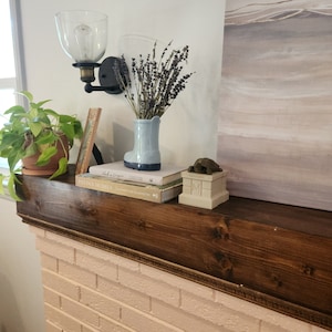 University of Maryland 'testudo' Statue Replica Box - Etsy