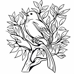 10 Birds Coloring Pages,instant Download,printable Pdf,coloring Birds ...