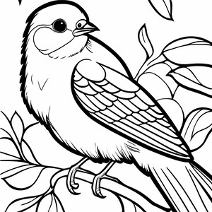 10 Birds Coloring Pages,instant Download,printable Pdf,coloring Birds ...