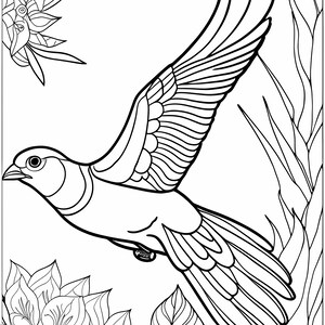 10 Birds Coloring Pages,instant Download,printable Pdf,coloring Birds ...