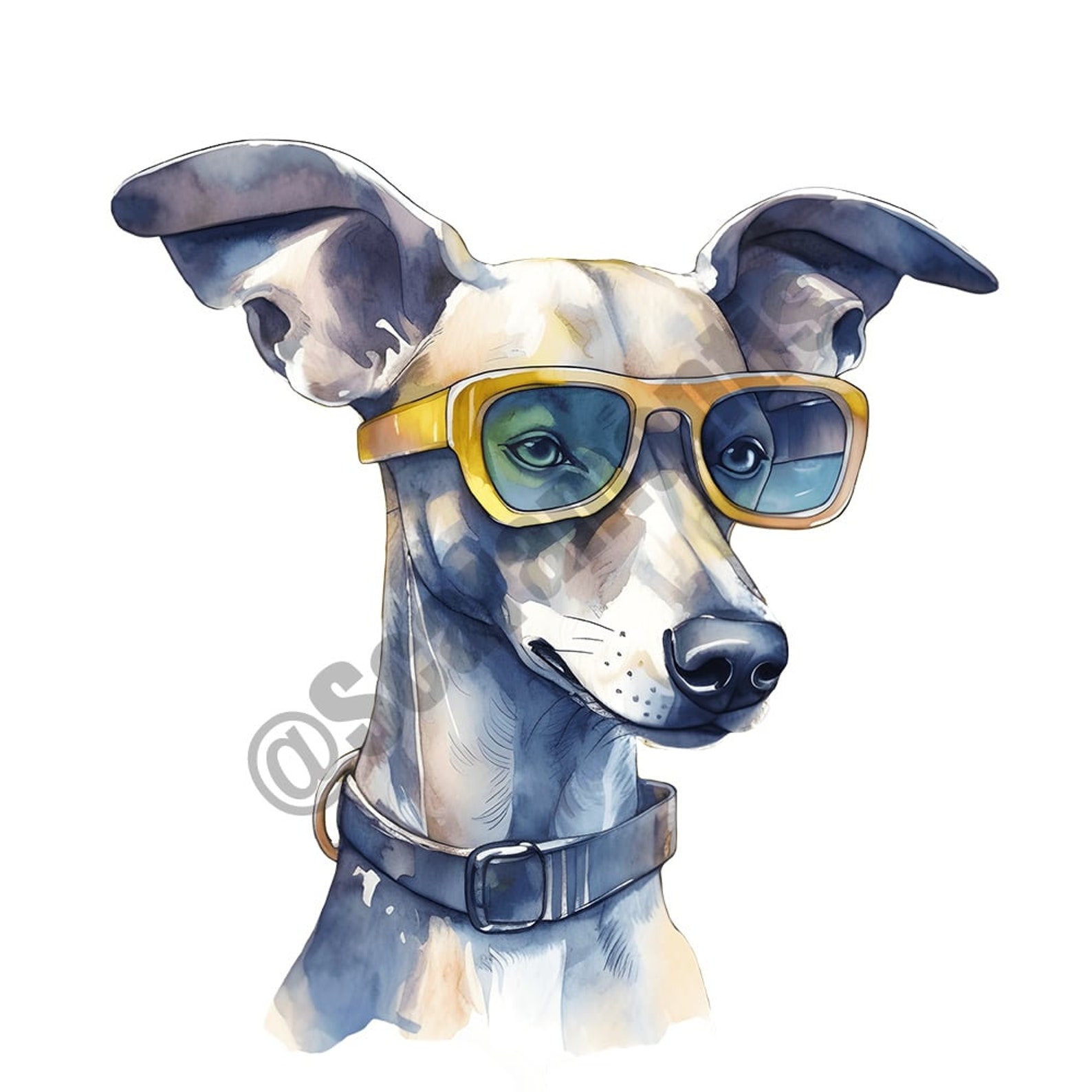 Crazy Whippets 1 Clipart - 12 High Quality Pngs- Digital Download - Etsy