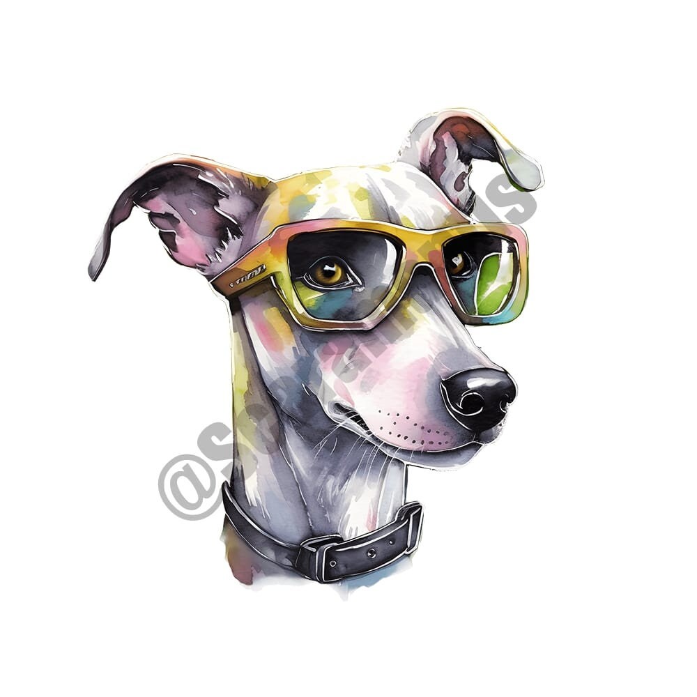 Crazy Whippets 1 Clipart - 12 High Quality Pngs- Digital Download - Etsy
