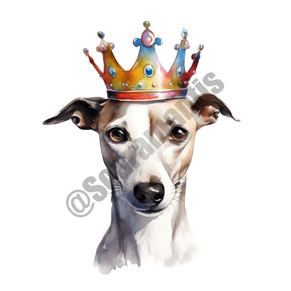 Crazy Whippets 1 Clipart - 12 High Quality Pngs- Digital Download - Etsy