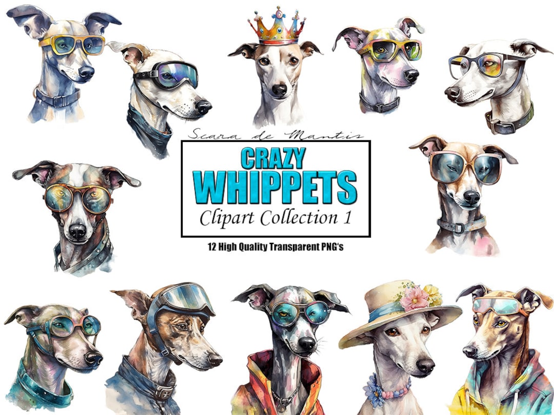 Crazy Whippets 1 Clipart - 12 High Quality Pngs- Digital Download - Etsy