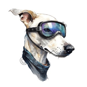 Crazy Whippets 1 Clipart - 12 High Quality Pngs- Digital Download - Etsy