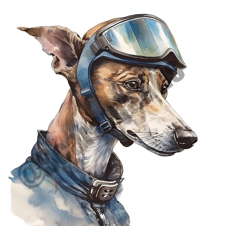Crazy Whippets 1 Clipart - 12 High Quality Pngs- Digital Download - Etsy