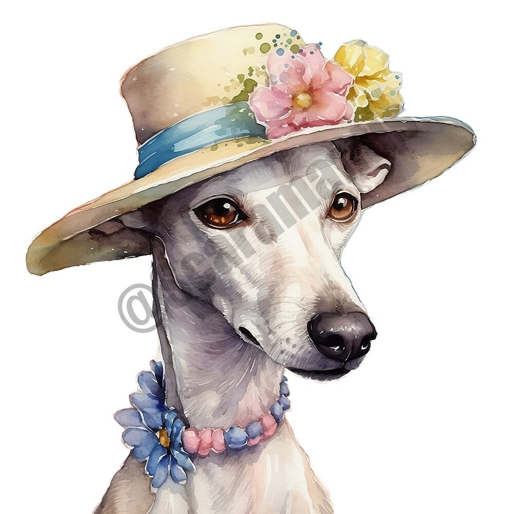 Crazy Whippets 1 Clipart - 12 High Quality Pngs- Digital Download - Etsy
