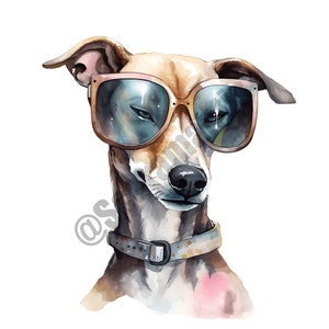 Crazy Whippets 1 Clipart - 12 High Quality Pngs- Digital Download - Etsy