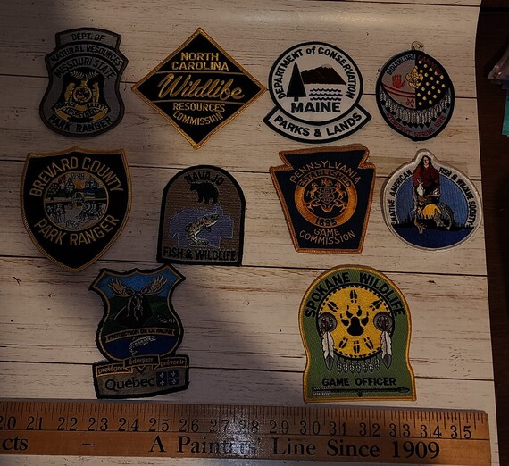 10 Patches from Different STATES around the Country N… - Gem
