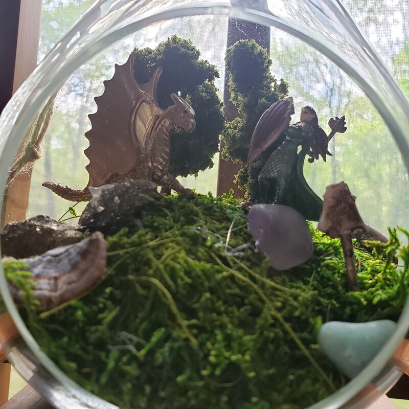 Terrarium Figurines - Etsy