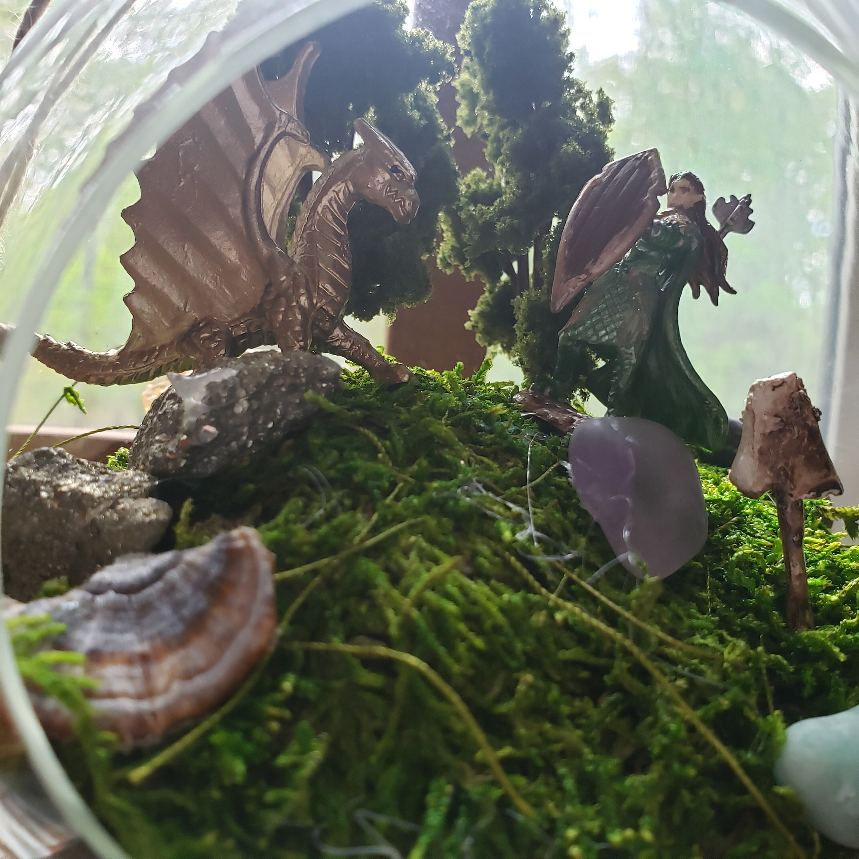 Dungeons & Dragons Terrarium - Etsy