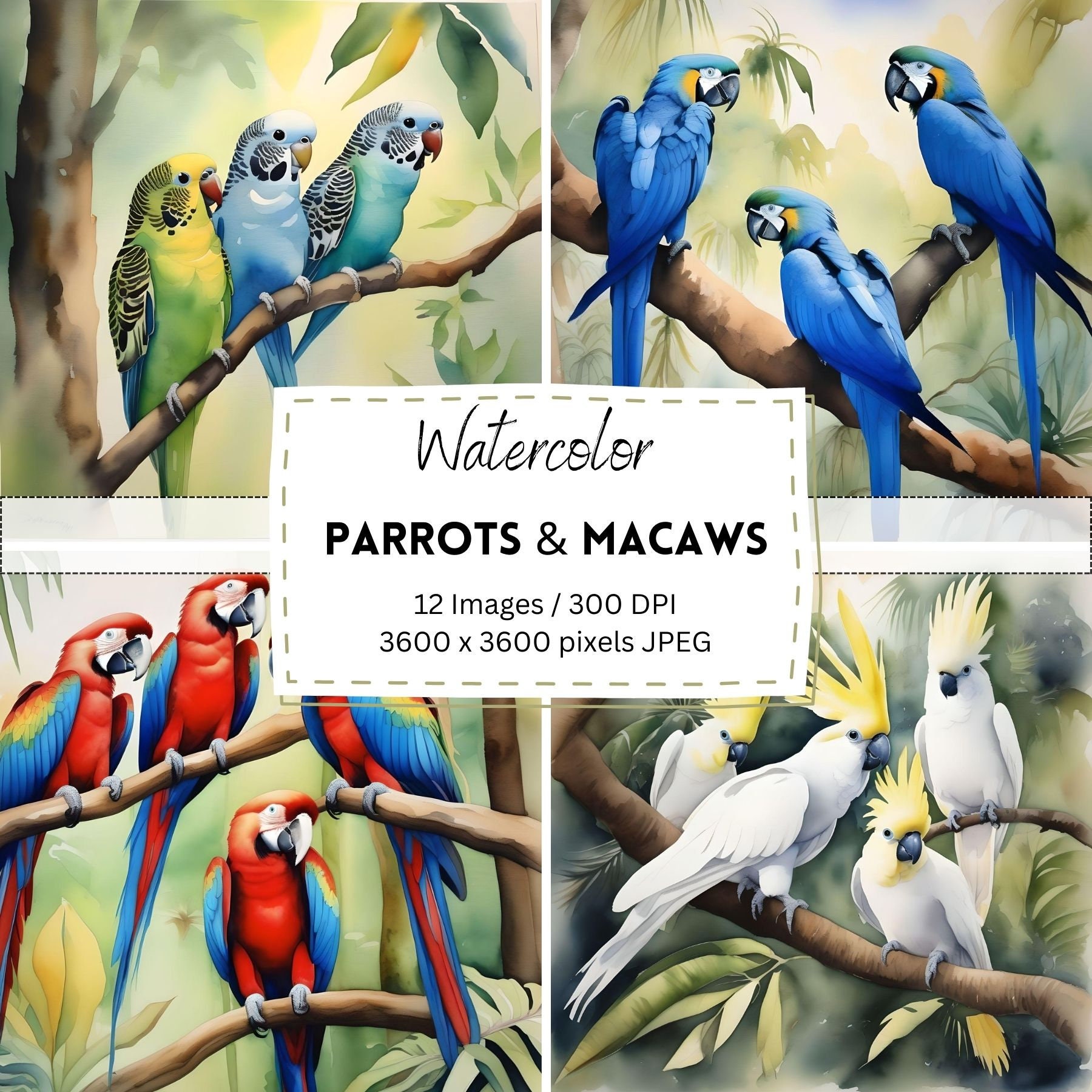 12 Watercolor Parrots and Macaws Digital Download / Digital Paper ...