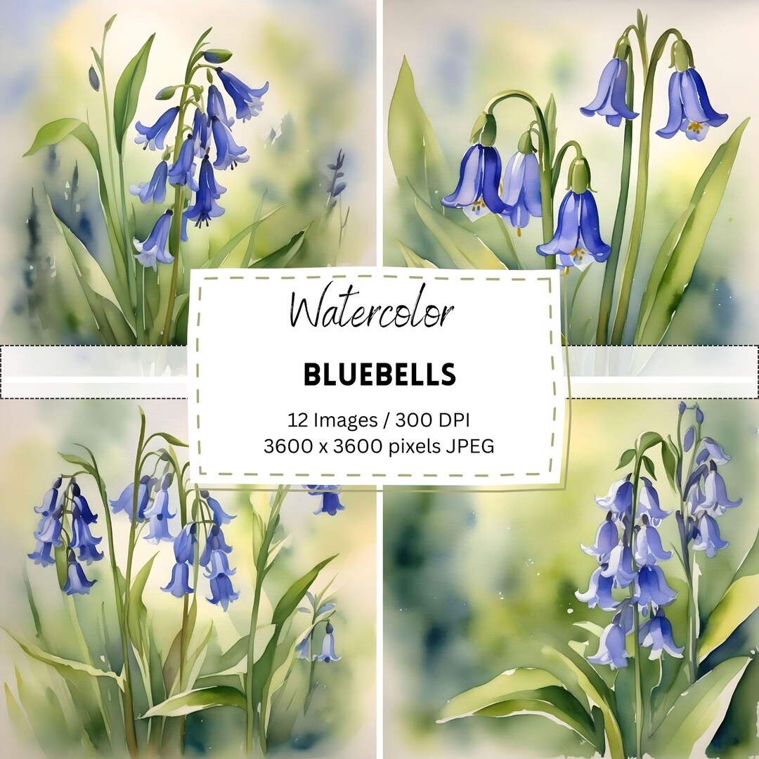 12 Watercolor Floral Bluebells Digital Download / Digital Paper ...