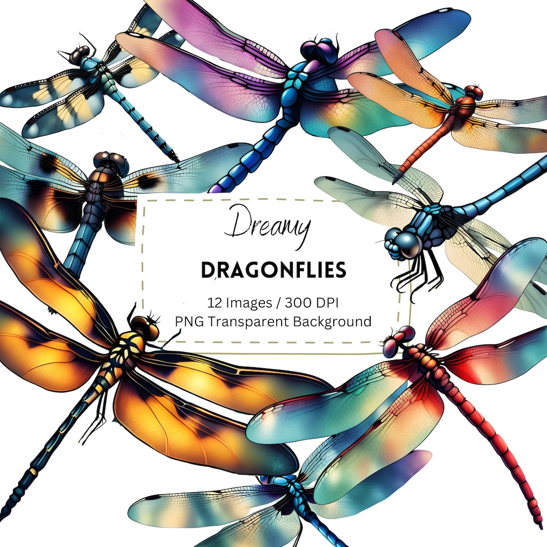 12 Dragonflies Clipart Digital Download / Digital Paper / Printable ...