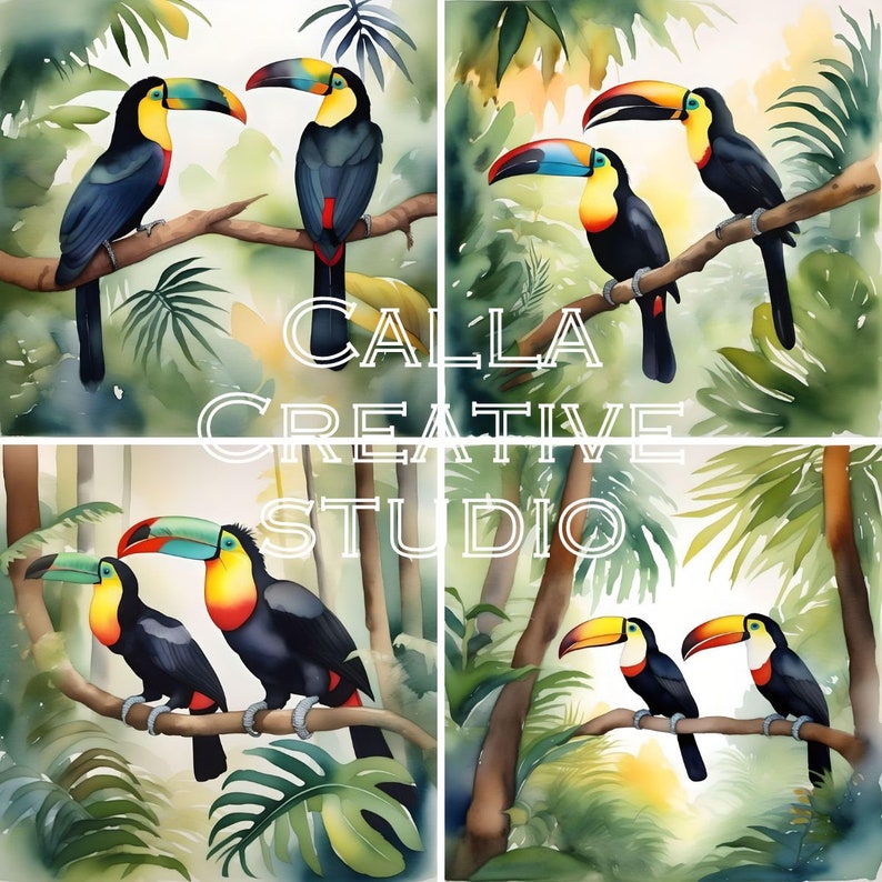 12 Watercolor Toucans Digital Download / Digital Paper / Printable ...