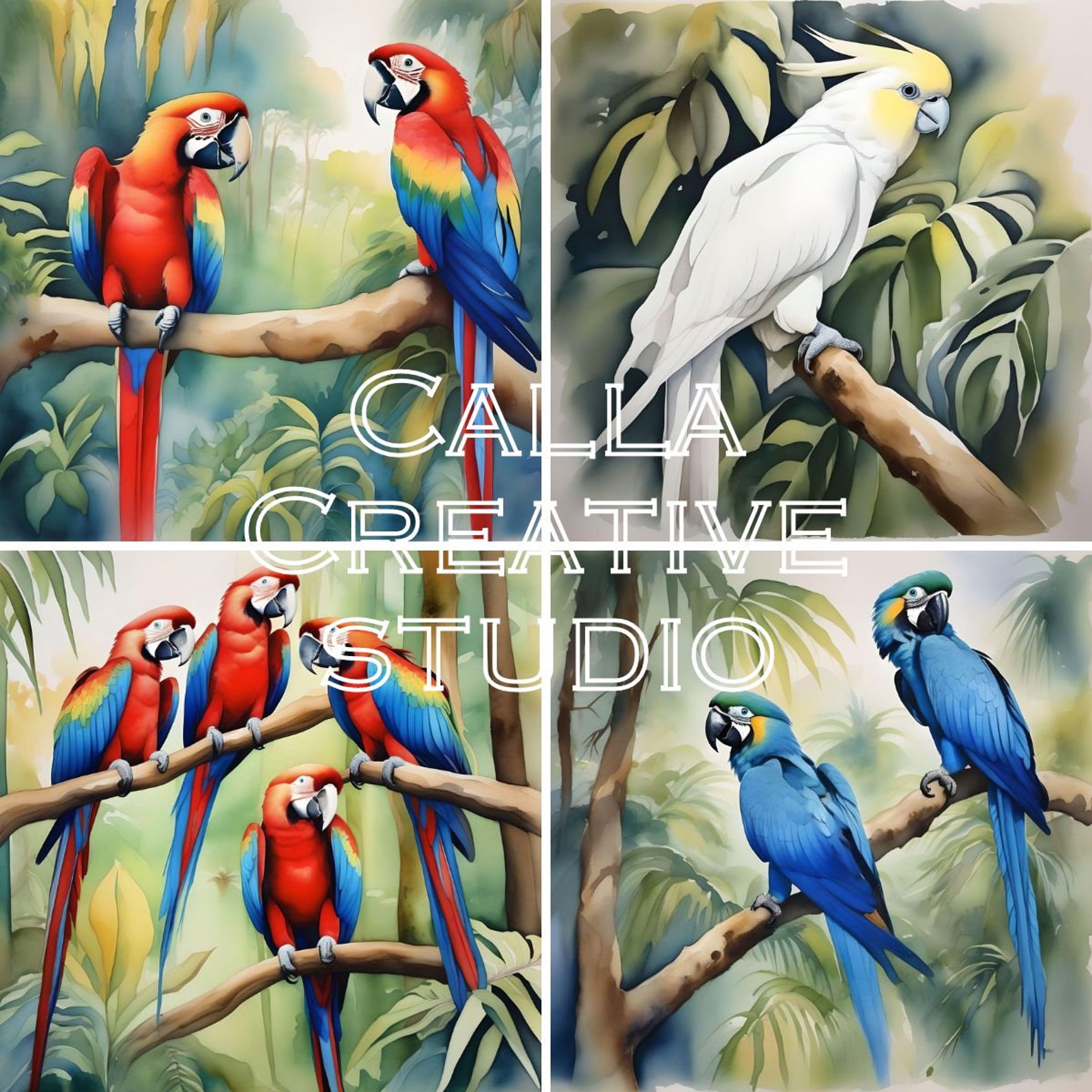 12 Watercolor Parrots and Macaws Digital Download / Digital Paper ...