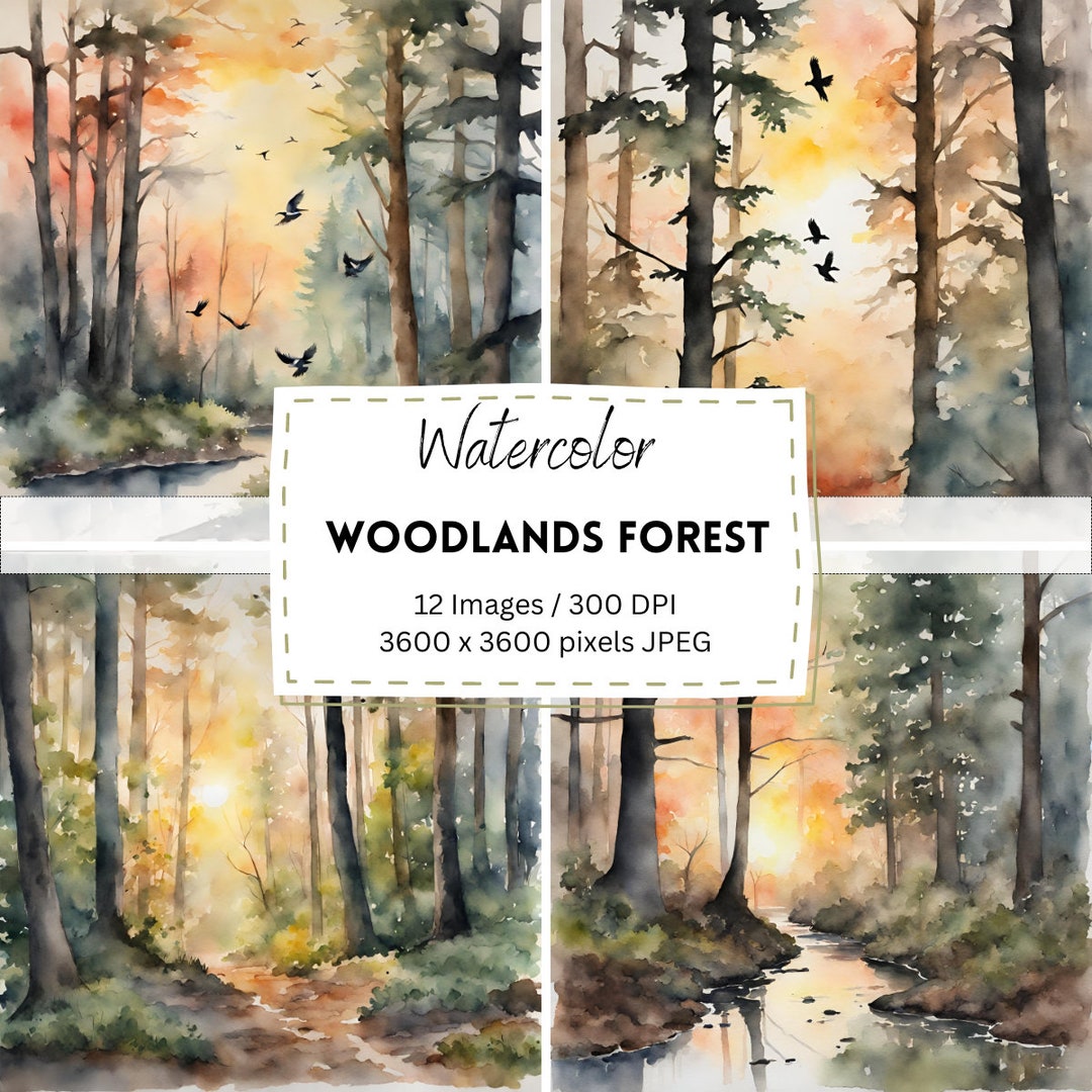 12 Watercolor Woodlands Sunrise Digital Download / Digital Paper ...