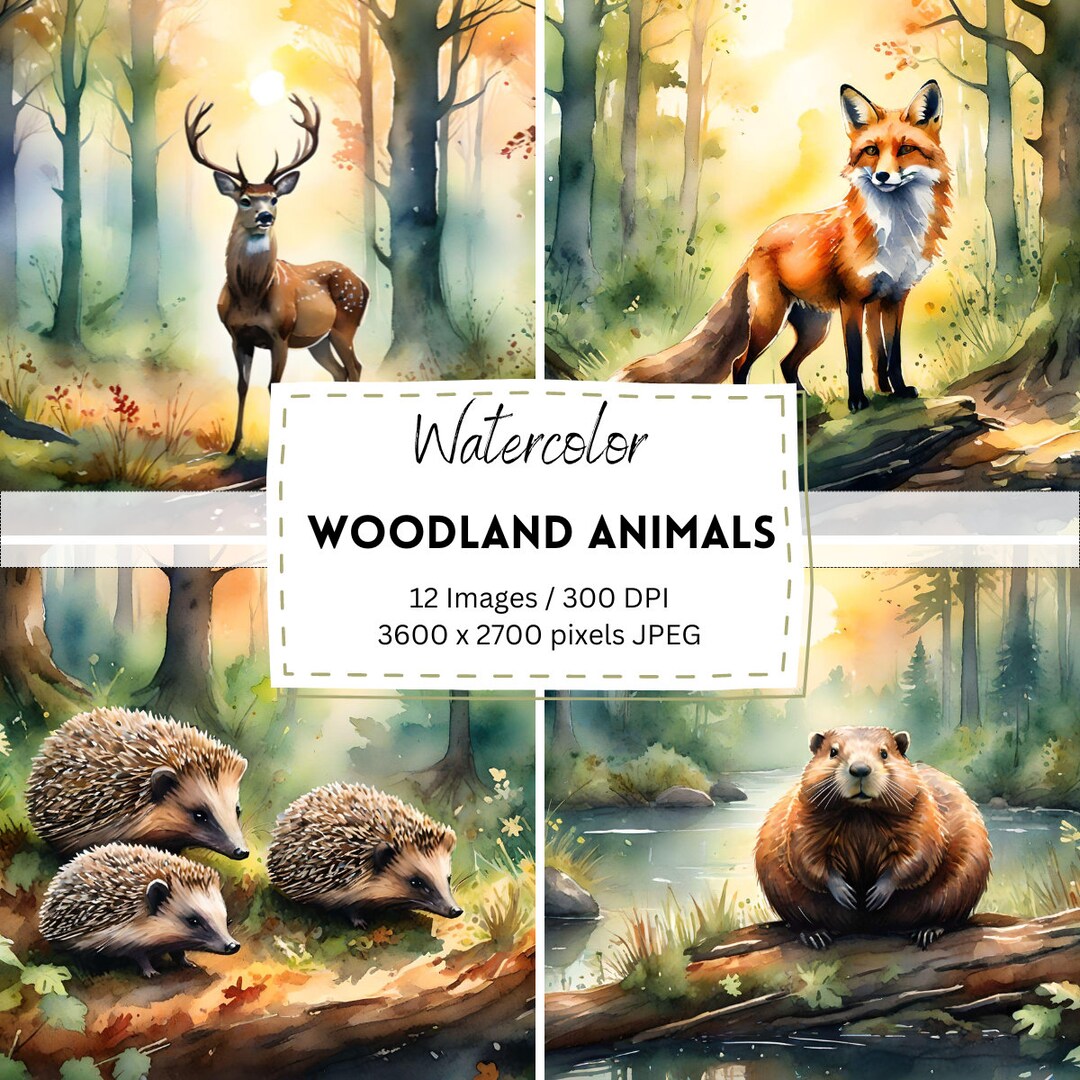 12 Watercolor Woodland Animals Digital Download / Digital Paper ...