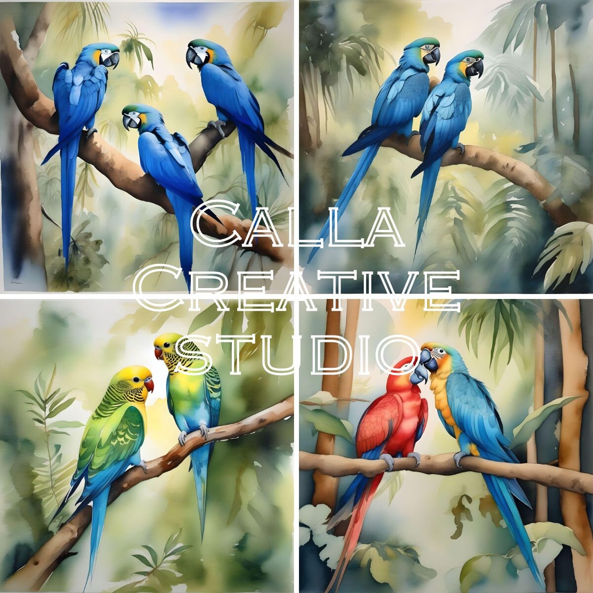 12 Watercolor Parrots and Macaws Digital Download / Digital Paper ...