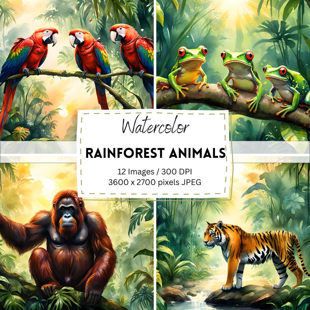 12 Watercolor Tropical Rainforest Animals Digital Download / Digital ...