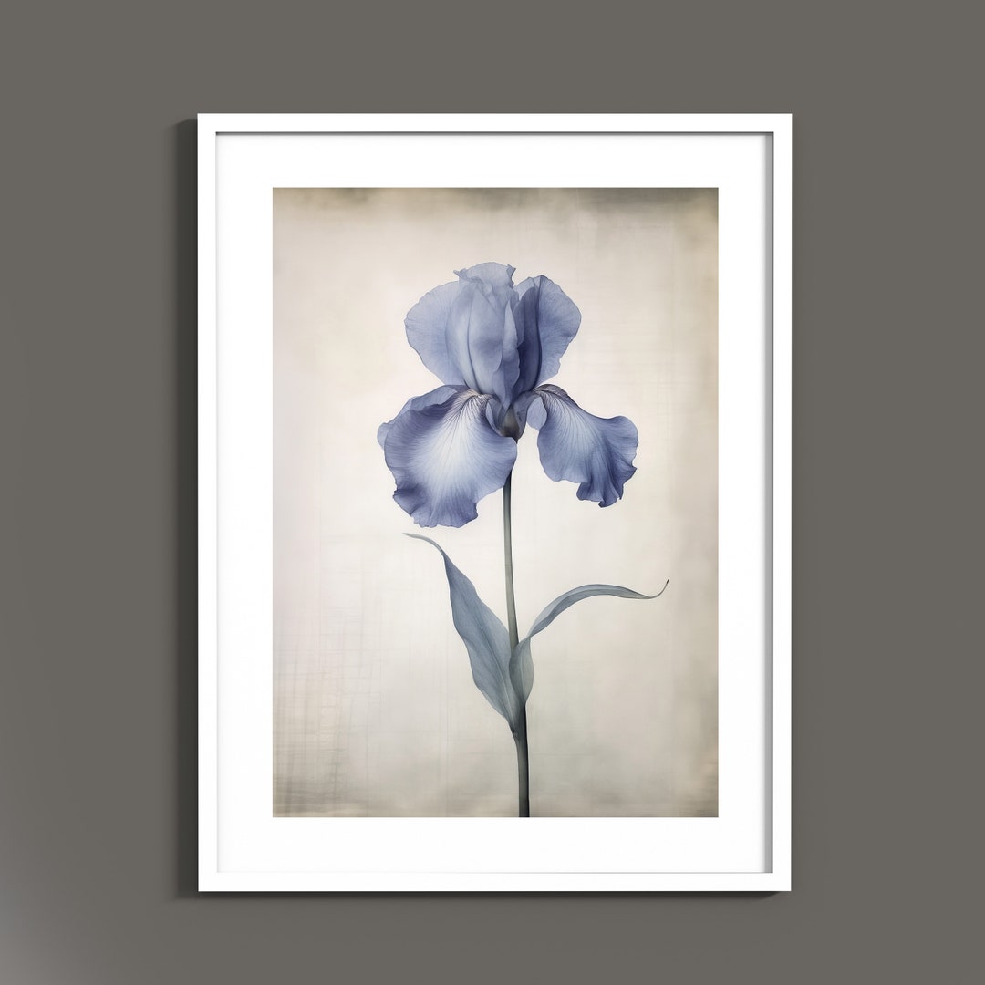 Anthotype Print, Iris, Minimal | Instant Digital Download |printable - Etsy