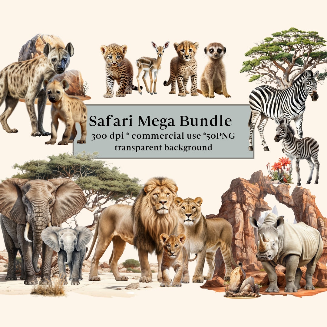 50 Safari Animal Clipart Bundle, Jungle Savannah PNG, African Animals ...