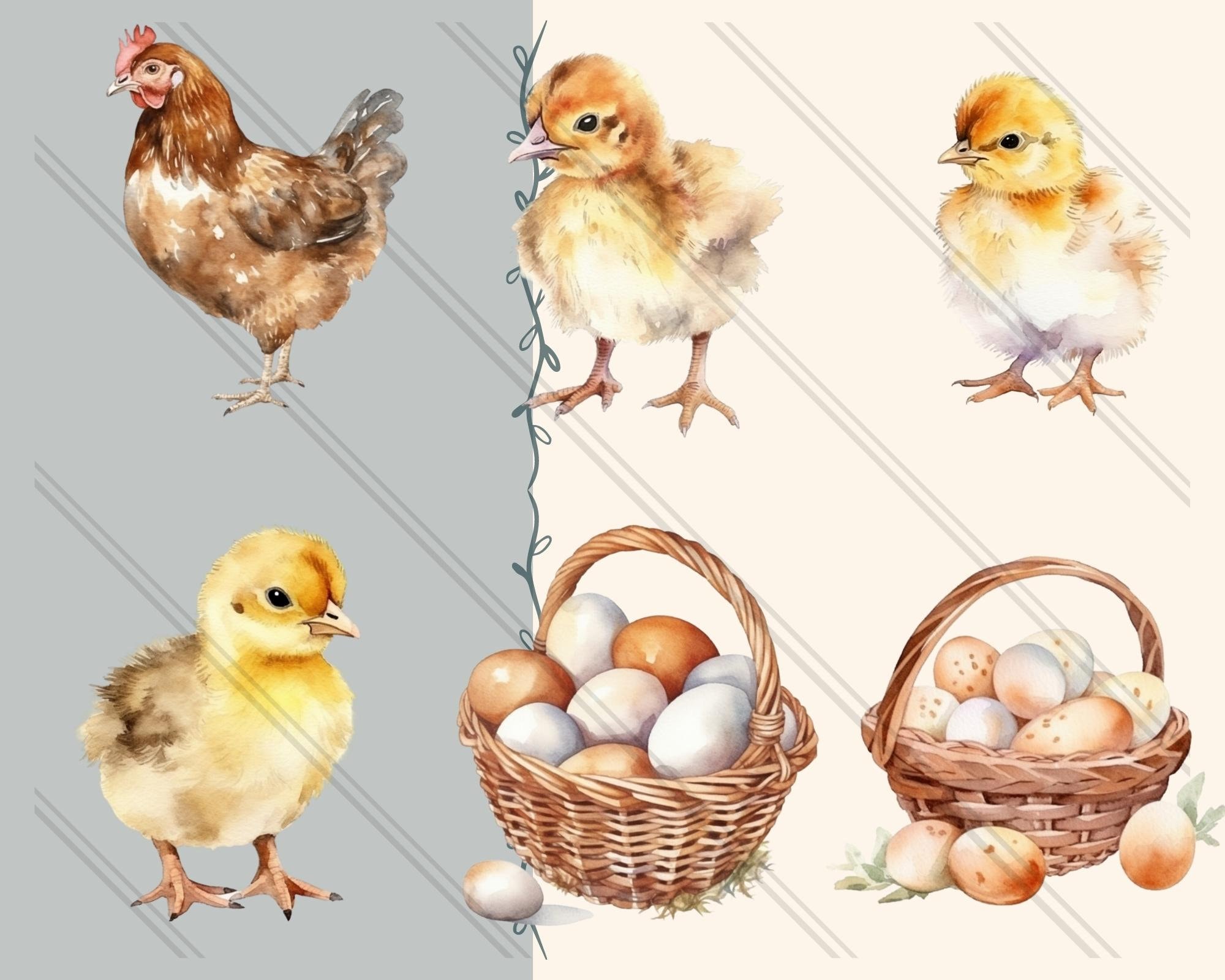 24 Watercolor Chicken Clipart Bundle - Cute Flower Chicken and Chicks ...