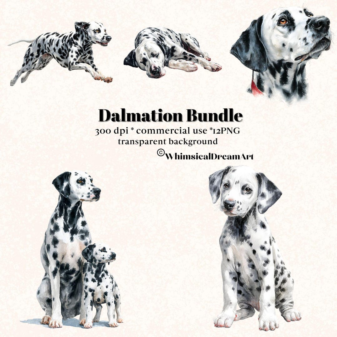 12 Dalmation Watercolor Clipart Transparent Background, Clipart Bundle ...