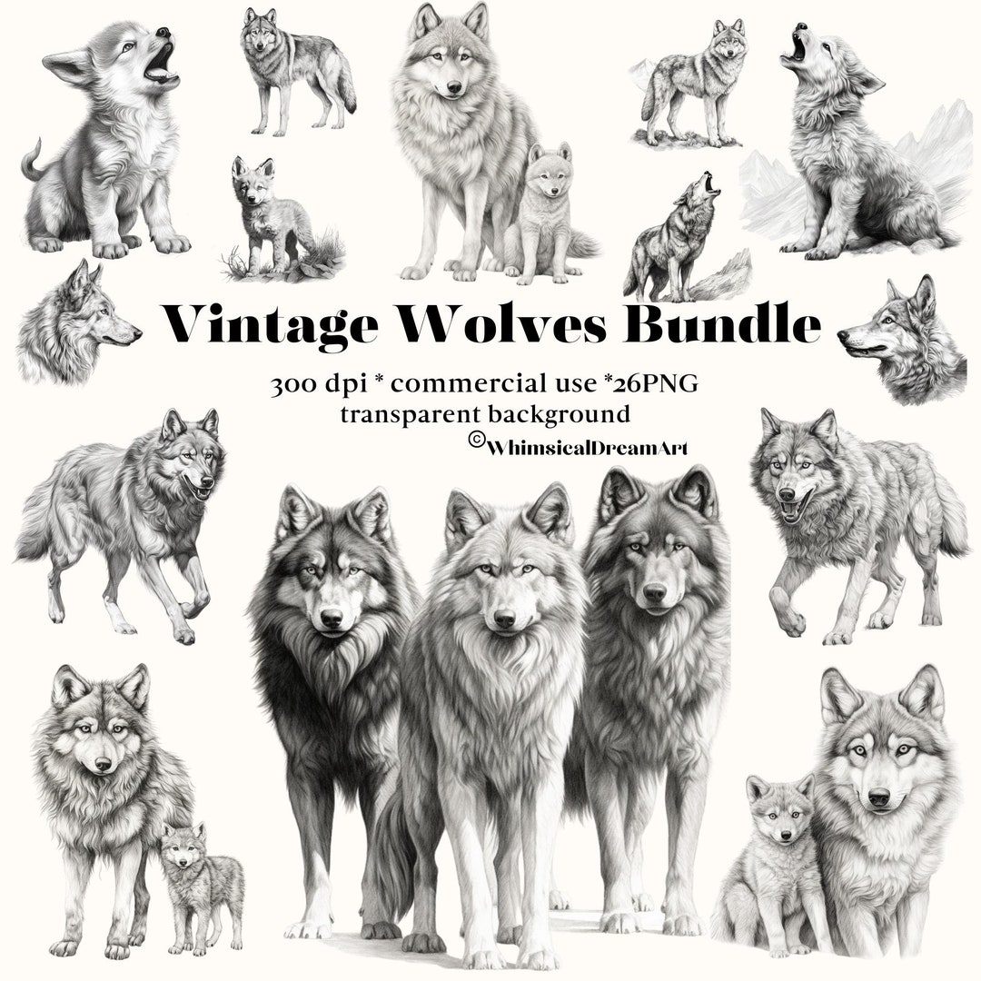 26 Vintage Wolf PNG Collection , Watercolor Wolves Pack, Wolf Pack ...