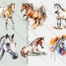 25 Horse PNG Collection Horse Clipart Set Watercolor Horse - Etsy