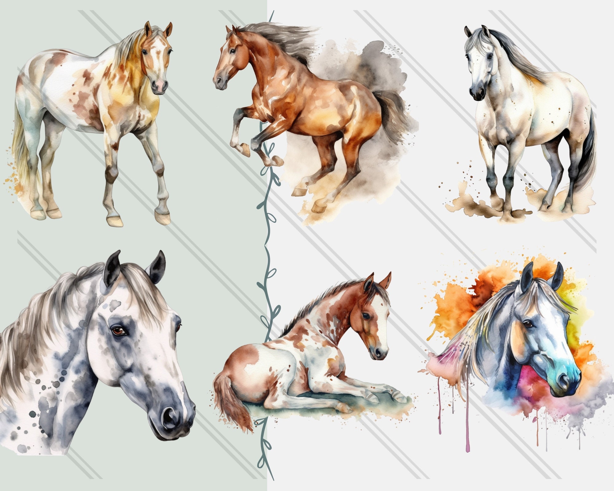 25 Horse PNG Collection Horse Clipart Set Watercolor Horse - Etsy