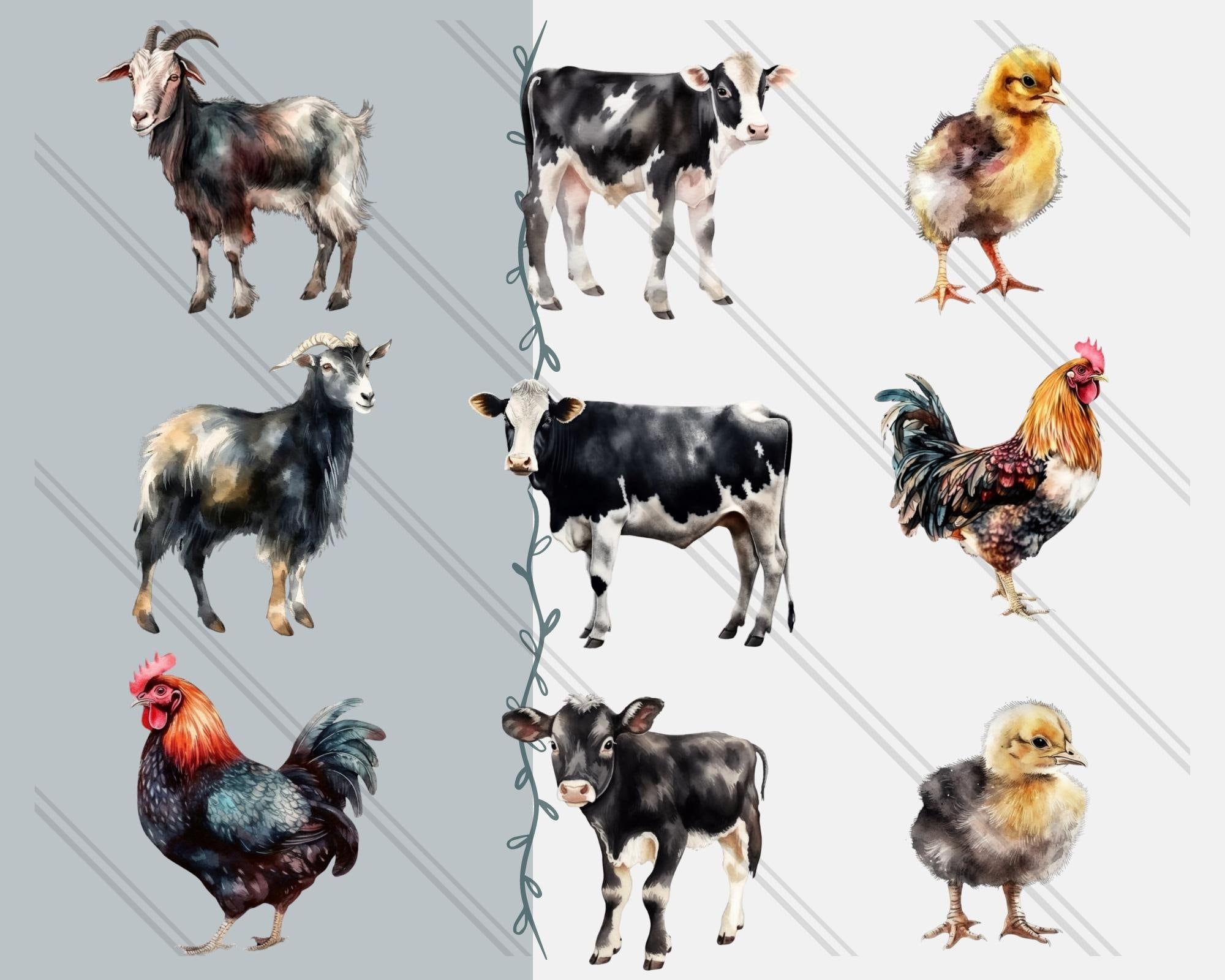 39 Watercolor Farm Life Clipart Cute Chickens and Chicks - Etsy